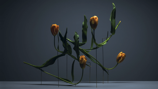 Gif Time Lapse Photography