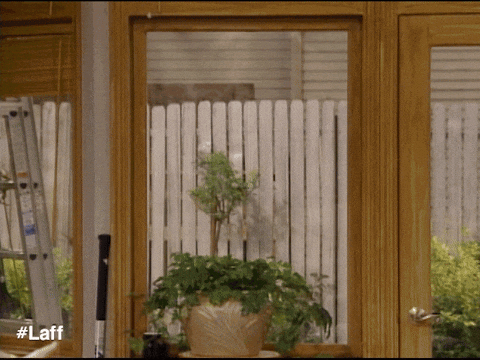 Led-rope-light GIFs - Get the best GIF on GIPHY