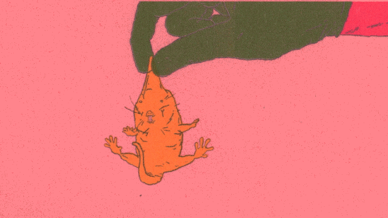Mole Rat Animation GIF by Massive Science - Find & Share on GIPHY