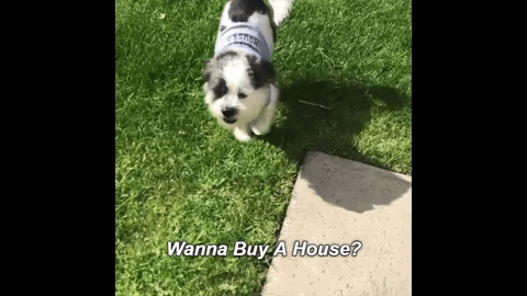 All Things Real Estate GIFs - Get the best GIF on GIPHY