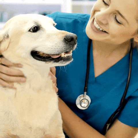 Just Healthy GIFs on GIPHY - Be Animated