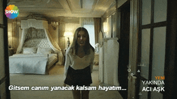 Canimals GIFs - Find & Share on GIPHY