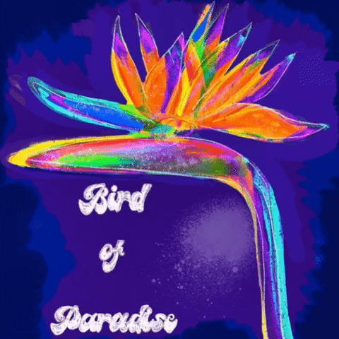 Tropical Flower GIFs - Get the best GIF on GIPHY