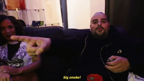 Berner GIFs - Get the best GIF on GIPHY