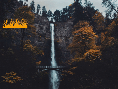 Water Column GIFs - Get the best GIF on GIPHY