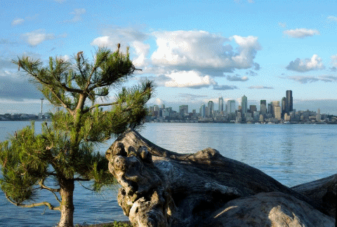 Harbor GIFs - Get the best GIF on GIPHY