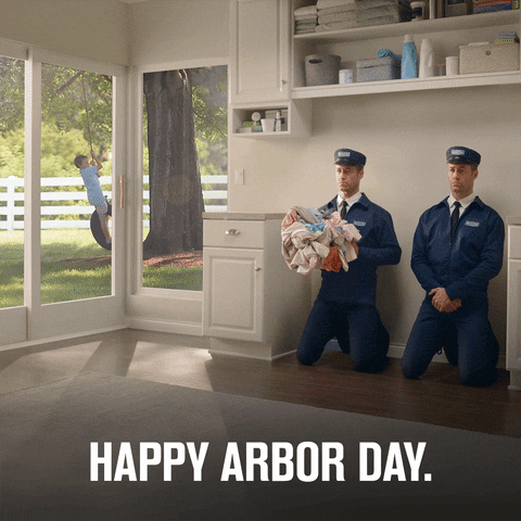 Arbor Day Memes Amazon.com: Arbor Day Trees Intriguing Funny Arbor Day