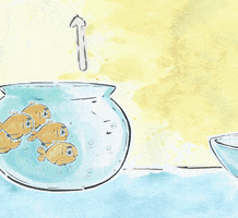 Eeeeeeeeeee GIFs - Find & Share on GIPHY