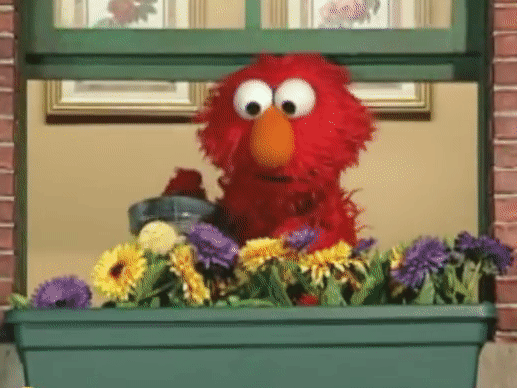 Sésamo GIF - Find & Share on GIPHY