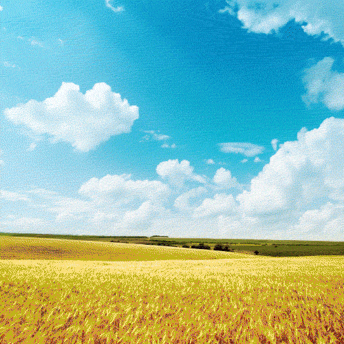 Ufo Cow Abduction GIFs - Get the best GIF on GIPHY