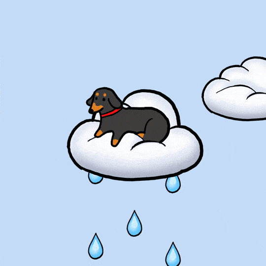 Raining Good Night GIF by Stefanie Shank - Find & Share on GIPHY