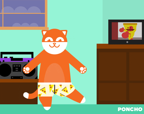 December 26 GIFs - Get the best GIF on GIPHY