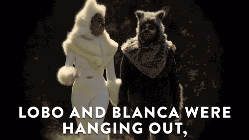 Lobo-and-blanca GIFs - Get the best GIF on GIPHY