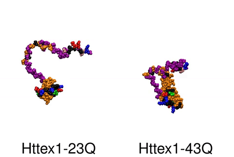 Biomedical Engineering GIFs - Get the best GIF on GIPHY