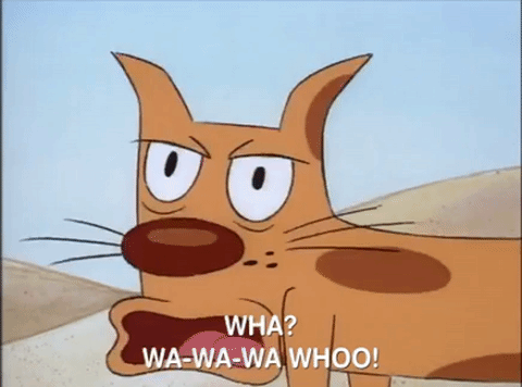 Was-was GIFs - Get the best GIF on GIPHY