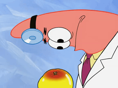 Season 6 The Splinter GIF by SpongeBob SquarePants - Find & Share on GIPHY