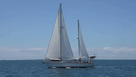 Sailing Cruising GIF - Find & Share on GIPHY