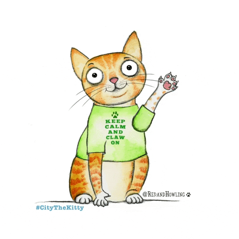 Cat Hello GIF by Red & Howling - Find & Share on GIPHY