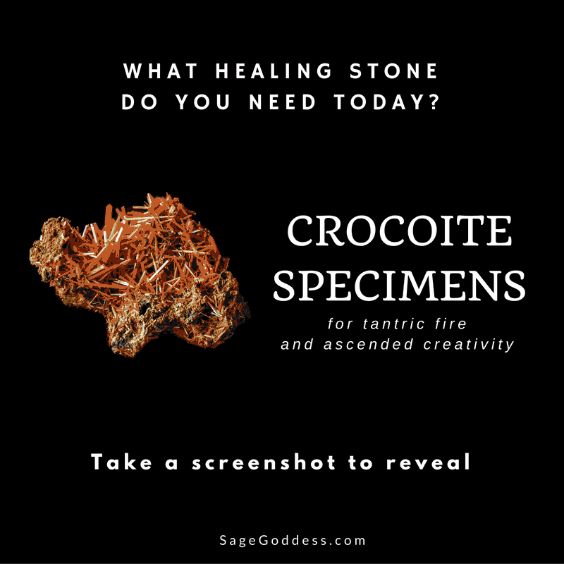 Specimens GIFs - Find & Share on GIPHY