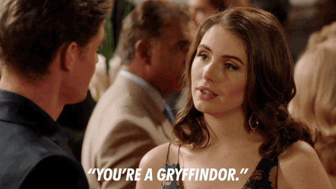 Gryffindor Banner GIFs - Get the best GIF on GIPHY