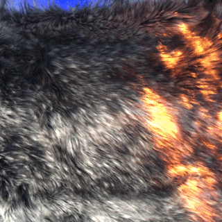 Curtain-drop GIFs - Get the best GIF on GIPHY