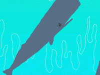 Exploding Sperm Whale Gif