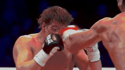 Taking Boxer GIFs - Get the best GIF on GIPHY