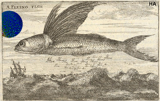 Auckland Art Gallery Toi O Tamaki GIFs - Get the best GIF on GIPHY