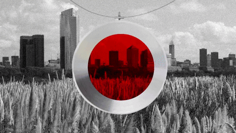 Popcollection GIFs - Get the best GIF on GIPHY