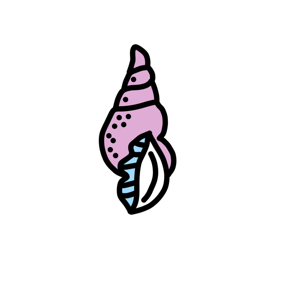 Shell Seashells Sticker by Ivo Adventures for iOS & Android | GIPHY