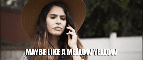 Yellow-mellow GIFs - Get the best GIF on GIPHY