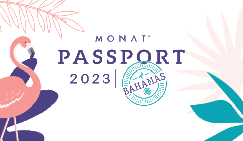 Passport 2023 GIFs on GIPHY - Be Animated