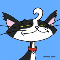 Smug Cat Gif
