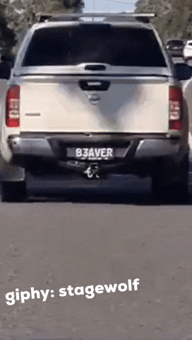 Number Plate GIFs - Get the best GIF on GIPHY