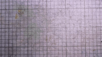 Chono-crocus GIFs - Get the best GIF on GIPHY