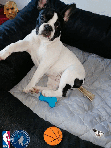 Dog Nba GIF by Argasens - Find & Share on GIPHY