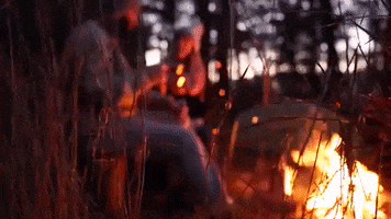 Ohio GIFs - Find & Share on GIPHY