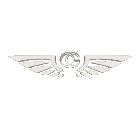 Option Gravity GIFs on GIPHY - Be Animated