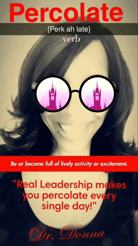 Its Time For The Percolator GIFs - Get the best GIF on GIPHY