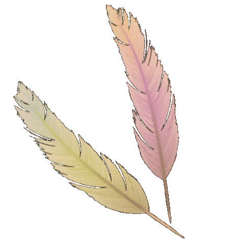 Feather Gif