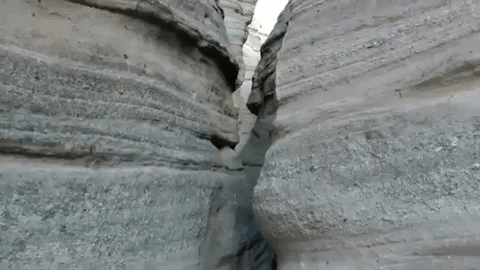 Mexico Vacation GIFs - Get the best GIF on GIPHY