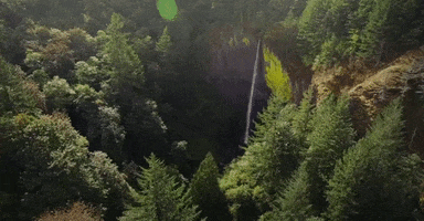 Oregon GIFs - Find & Share on GIPHY
