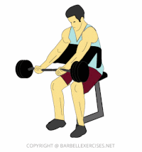 Best biceps GIFs - Primo GIF - Latest Animated GIFs