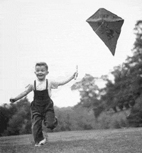 Flying Kites Gif
