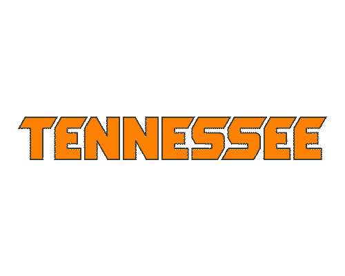 GO VOLS by Tennessee Athletics | GIPHY