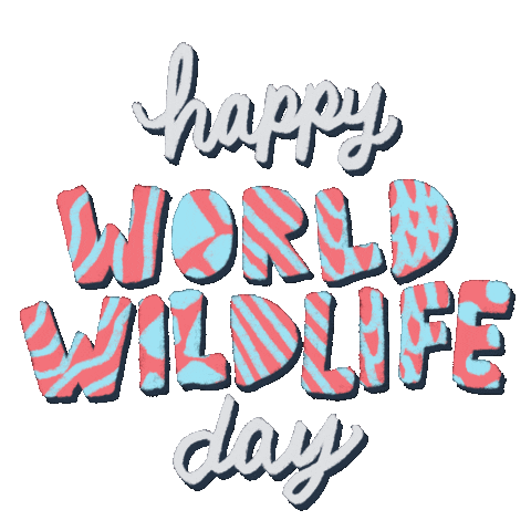 Spring GIFs on GIPHY - Be Animated