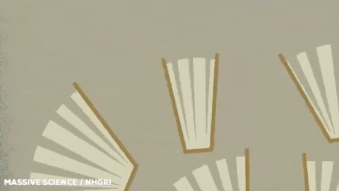 Opening Book GIFs - Find & Share on GIPHY