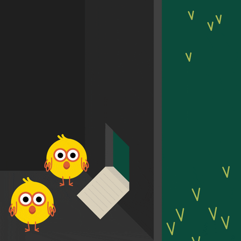 Chicken Life GIFs - Get the best GIF on GIPHY