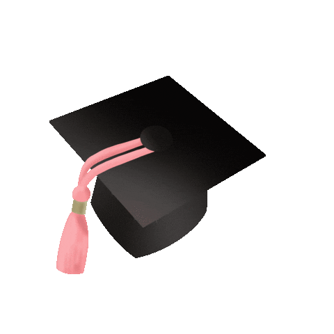 Pink Congrats Sticker for iOS & Android | GIPHY