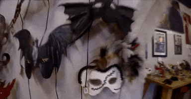 Louisiana State Police GIFs - Find & Share on GIPHY